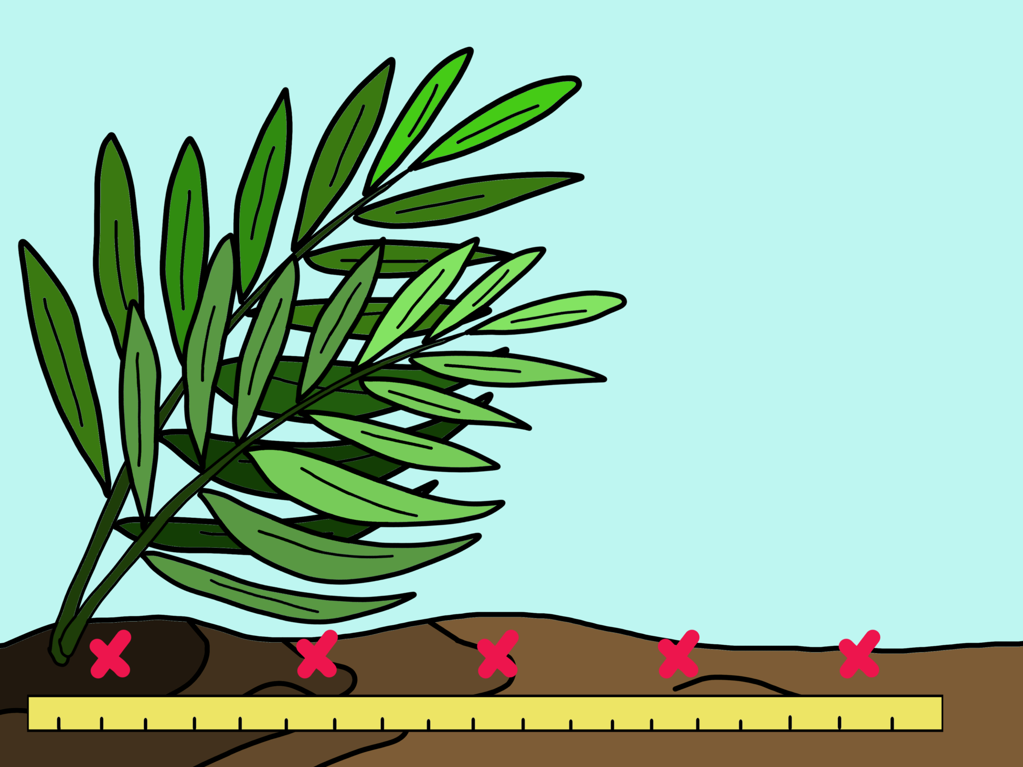 Basic: Use your sensor – Light – PublicSensors